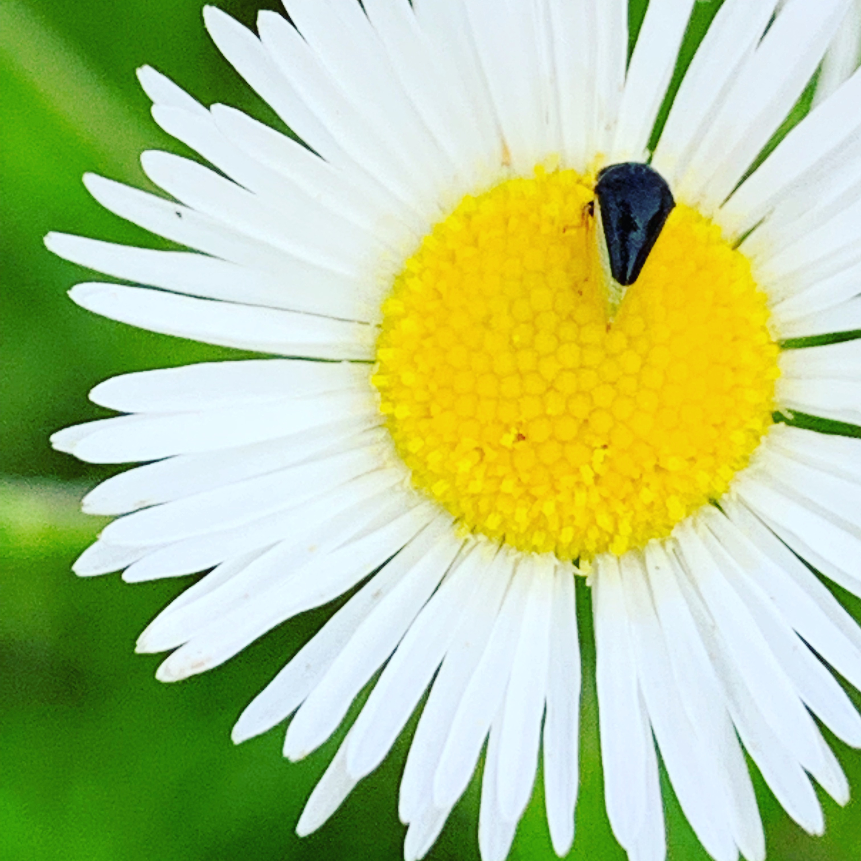 When Life Gets Smaller : Onward & Upward